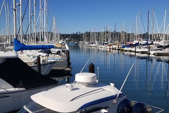 Muir Woods, Sausalito, Marin Headlands, Lighthouse Private Tour - Who Will Love This Tour?