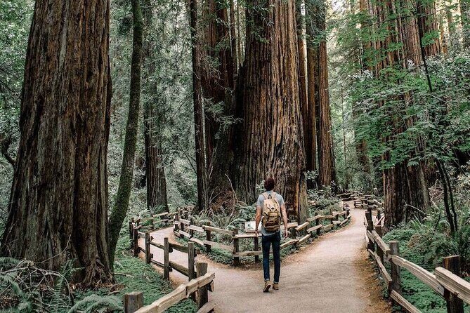 Muir Woods & Sausalito: Small Group Experience - An In-Depth Look at the Tour Itinerary