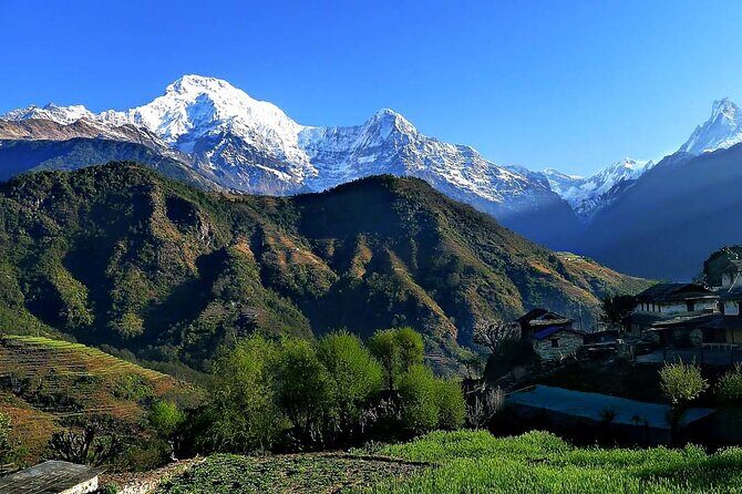 Multi-Day Ghandruk Trek in Pokhara - Authentic Experiences and Authenticity