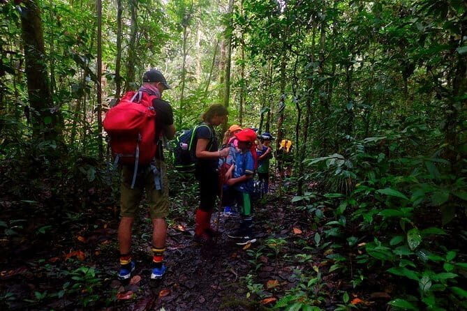 Mulu Headhunter's Trail - 3 Days Trekking & Cultural Experience - The Transport and Logistics: Why It Matters