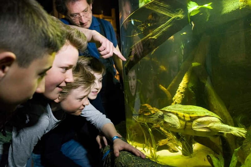 Munich: Day Ticket to Sea Life - Breakdown of the Itinerary
