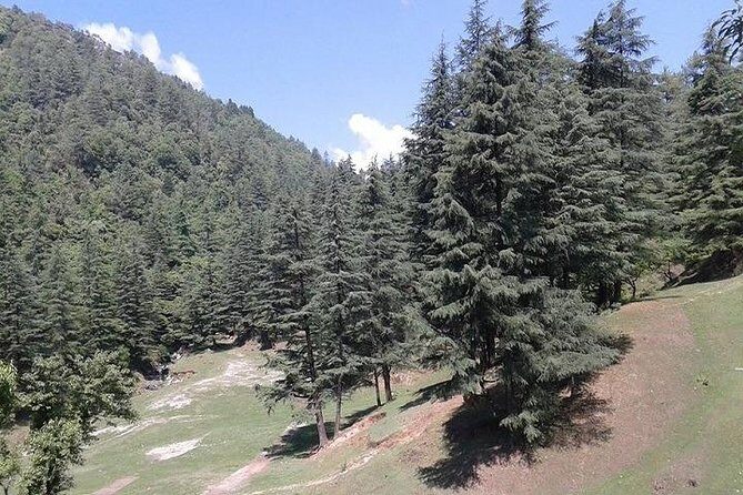 Mussoorie Weekend Tour Package 3 Days By Car - What’s Included and What’s Not