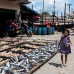 Myeik: Full Day Private City Tour - What the Tour Means for Travelers