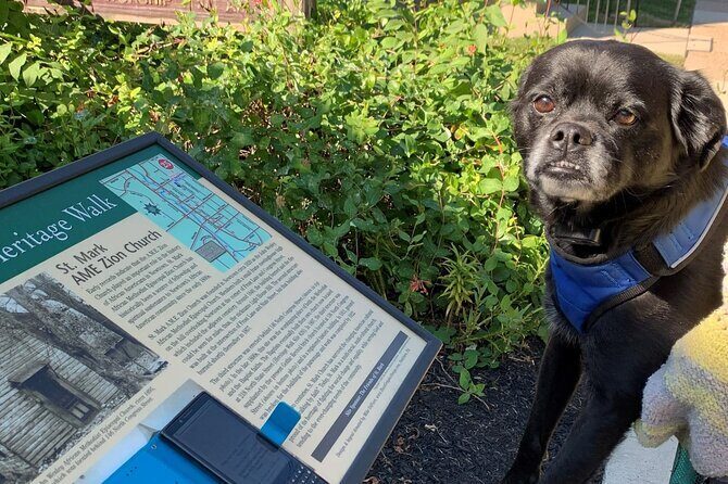 Mysteries on the Move: Scavenger Hunt in San Diego - The Atmosphere and Setting