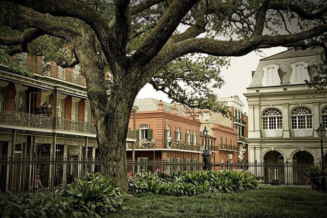 Mystique of the Lower French Quarter - What to Expect and Practical Details