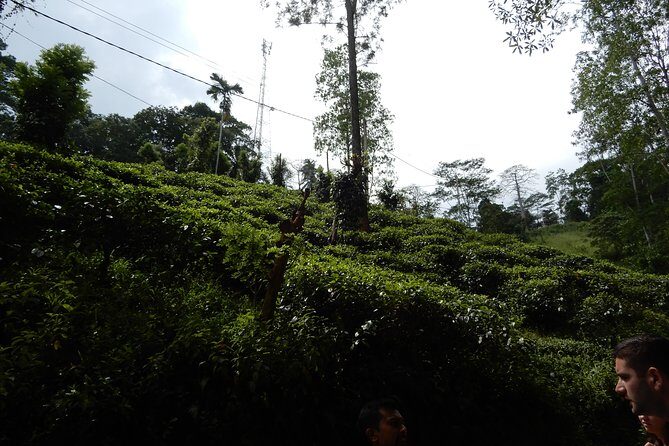 N trekkers Matale - Who Will Enjoy This Experience?