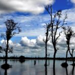 Nagaland and Manipur Tribal Communities and Nature Trails - The Overall Value: What You Get for $1,160