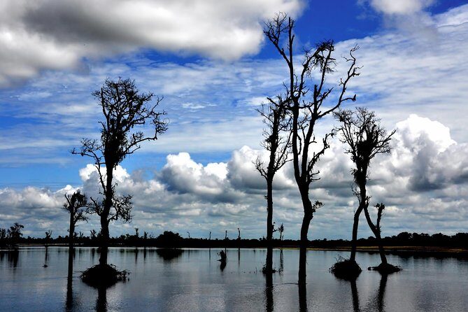 Nagaland and Manipur Tribal Communities and Nature Trails - The Overall Value: What You Get for $1,160