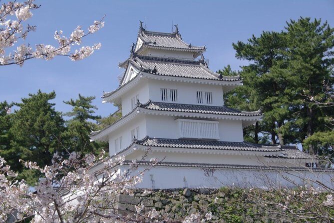 Nagasaki City to Nagasaki International Airport Private Departure Transfer - Who Is This Tour Best For?