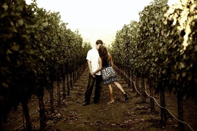 Napa - Sonoma Limo up to 9 passengers - An In-Depth Look at the Experience