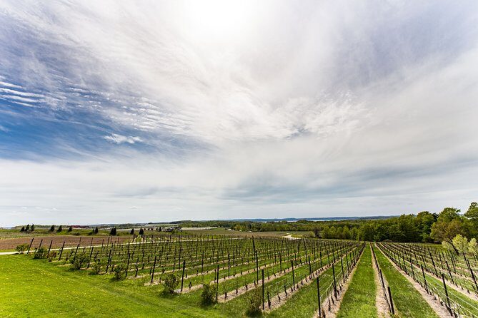 Napa & Sonoma Wine Tour Private Tours 8 to 10 Hours max 14 pax - Breaking Down the Itinerary