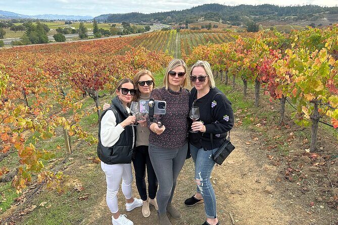 Napa Valley Mountainside Small Group Winery Tour - A Close Look at the Experience