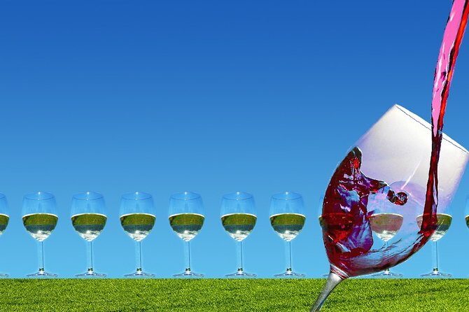 Napa Valley Wine Tasting Tour 6 to 8 Hours max 14 passenger - A Detailed Breakdown of the Itinerary