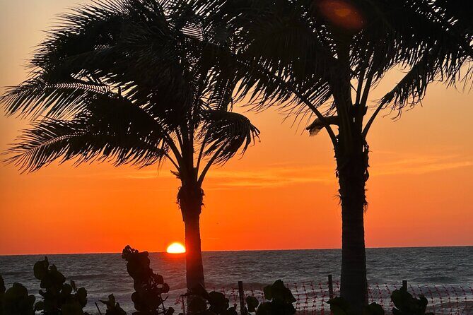 Naples Famous Sunset Tour -Electric Trike Tour at Sunset All Ages - Who Should Consider This Tour?