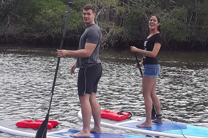 Naples Fl, Paddleboard Mangrove Forest Tour - Final Thoughts: The Real Value of the Naples Paddleboard Tour