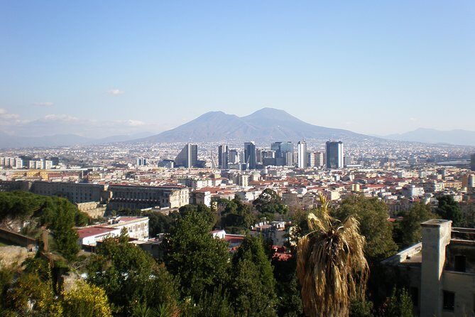 Naples Shore Excursion: Mt Vesuvius Half-Day Trip from Naples - The Realities and Limitations