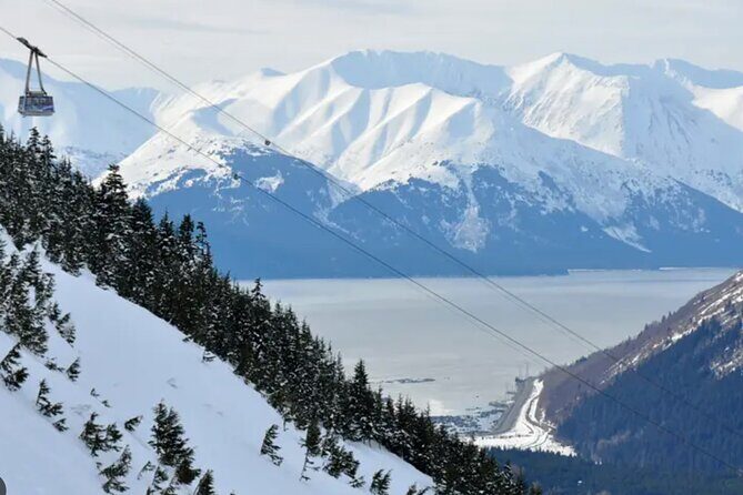 Narrated Alyeska/Girdwood Shuttle From Anchorage - Photo Stops - Why This Tour Offers Great Value