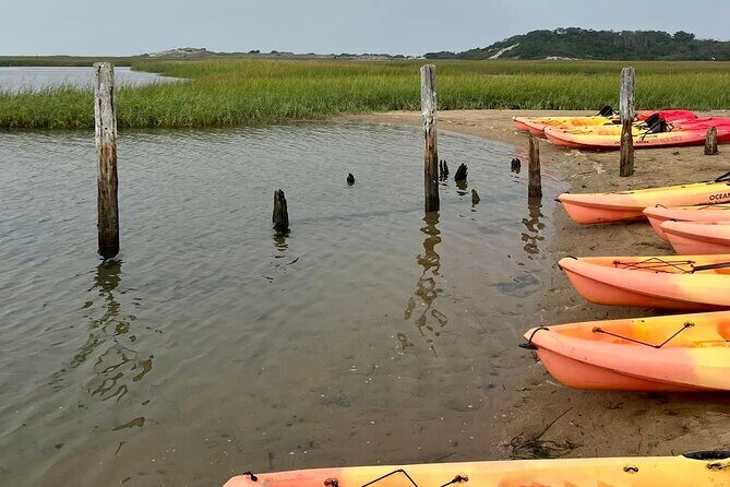 National Seashore Tour with Guided Hike - Is It Worth the Price?