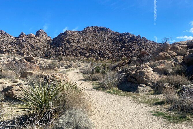 Natural Wonders Walk: Plants, Animals and Rocks of Joshua Tree - FAQ