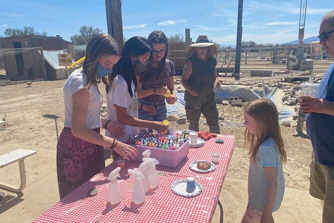 Nature Health Farms Alpaca Farm Petting Zoo Pahrump Death Valley - The Grounds and Additional Attractions