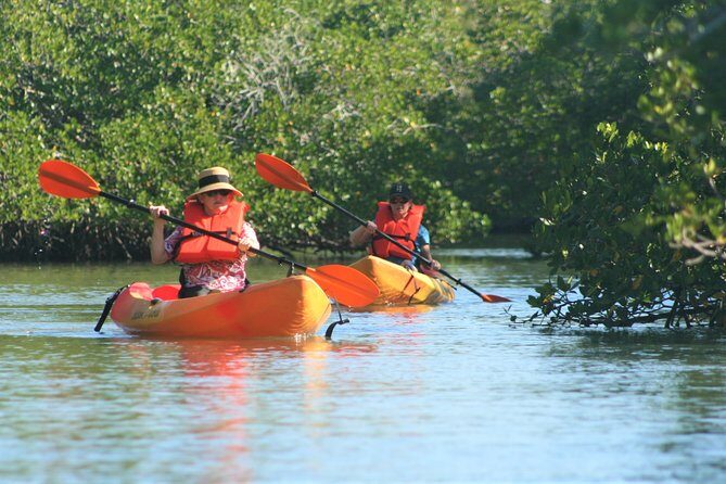 Nauti Exposures - Kayak rental Naples, FL - Practical Tips for Making the Most of Your Kayaking Adventure