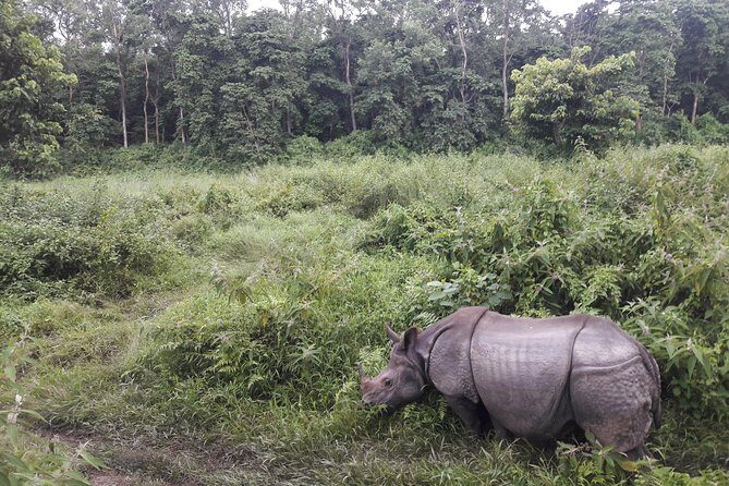 Nepal Family Fun Tour Experience - 12 Days - FAQs