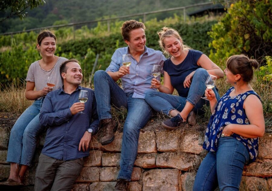 Neustadt: Wine tasting with cellar tour and vineyard tour - Practical Details and Tips for Visitors