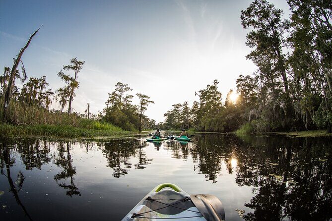 New Orleans Bayou Adventure: Kayak Rental - Final Thoughts