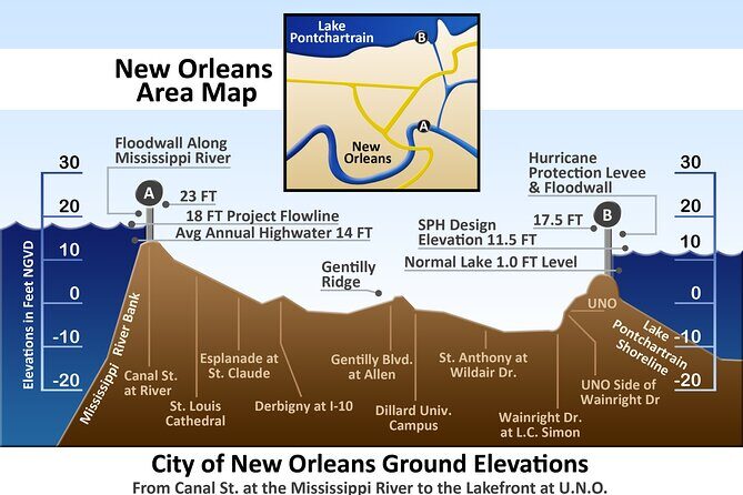 New Orleans City Wide and Plantation Driving Tour - Authenticity, Value, and the Guide’s Expertise