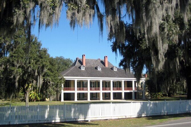 New Orleans Plantation Tour with Transportation - What Makes This Tour Stand Out?