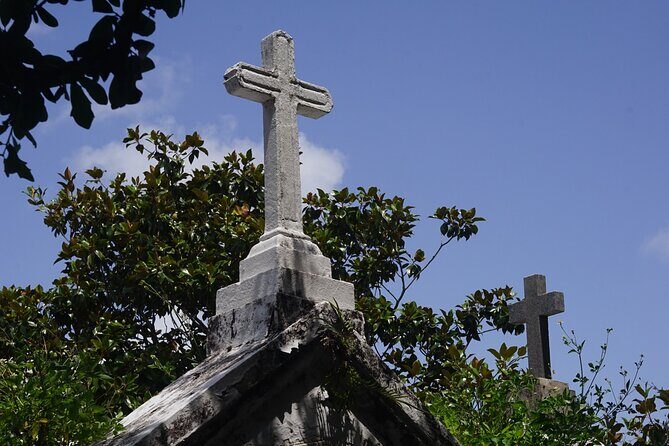 New Orleans Small Group Garden District History and Architecture Tour - The Value of the Tour