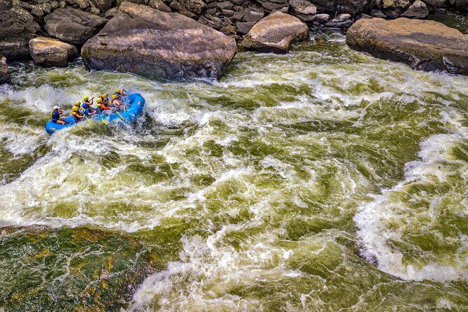 New River Gorge Whitewater Rafting, WV - Lower New Full Day - Real Traveler Insights