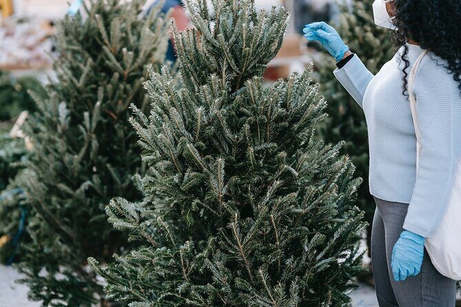 New York City's Iconic Christmas Tour - Authentic Experiences and Personal Touches