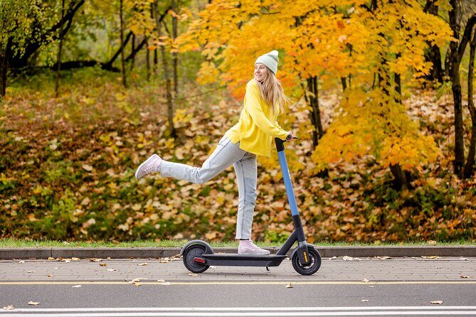 New York Electric Scooter Adventure: Discover the City! - The Sum Up