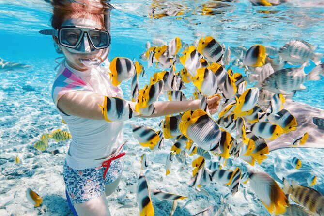Nha Trang 3 Island VIP Tour - Practical Details and Tips