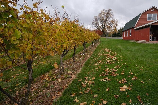 Niagara County Wine Tour and Tasting - Starting Point and Schedule