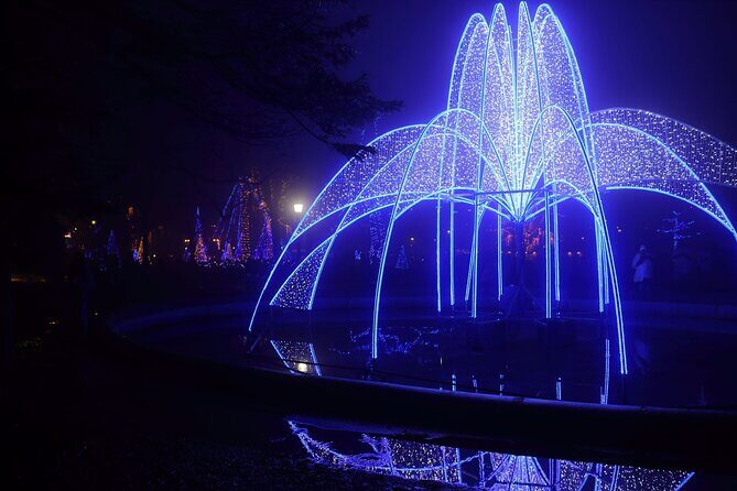 Niagara Falls USA/Canada Winter Wonderland Adventure tour - What’s Included and What’s Not