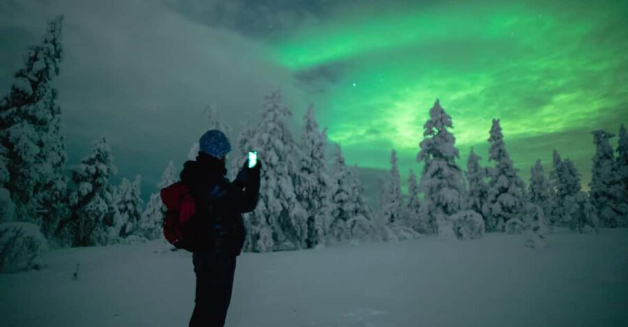 Night Snowshoeing Lapland Experience - What the Tour Offers: An In-Depth Look
