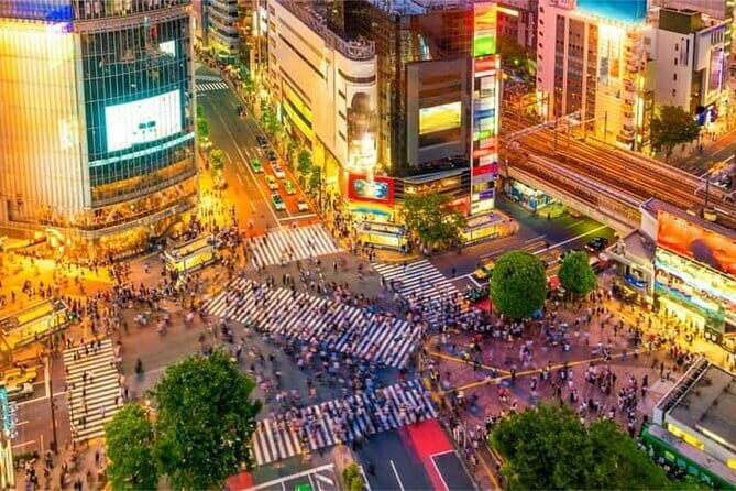 Night Tour Tokyo in Shinjuku - What Makes This Tour Stand Out?