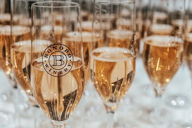 NON BUS Champagne Wine Tour in Traverse City Shared Experience - Final Thoughts: Is it Worth It?