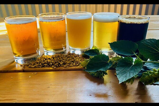 NON BUS VIP Traverse City Brewery And Distillery Tour - What’s Included and What’s Not