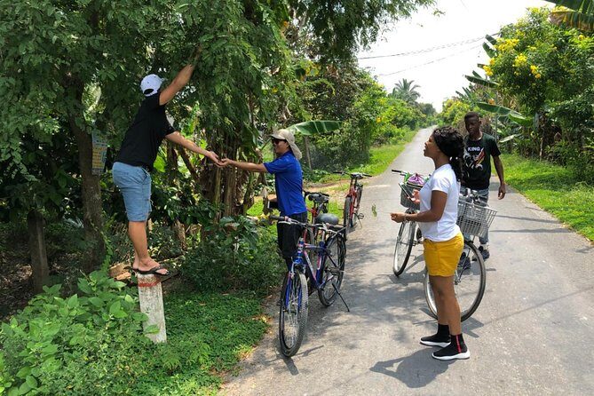 Non-Touristy Mekong With Biking 1 Day - Authenticity and Value