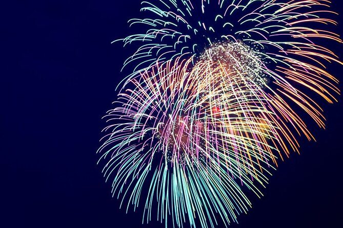 Norfolk 4th of July Buffet Dinner Cruise - Who Would Enjoy This Experience?