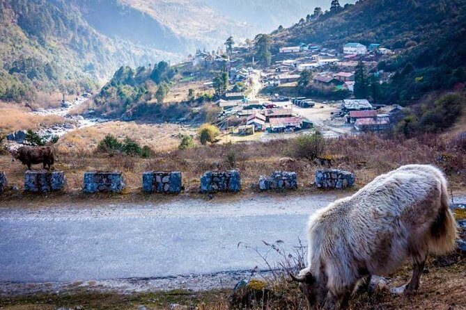 North Sikkim 6 Days Tour - What We Loved About This Tour