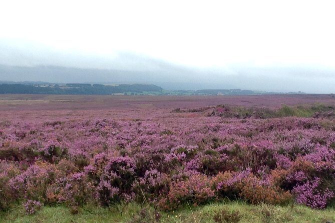 North York Moors and Whitby Day Tour from York - Pricing and Value