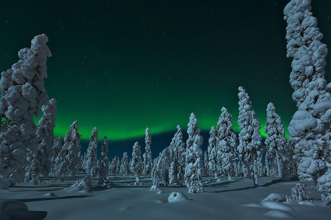 Northern Lights Hunt from Rovaniemi with Folk Tales and Snacks over Campfire - The Sum Up: Who Will Love This Tour?