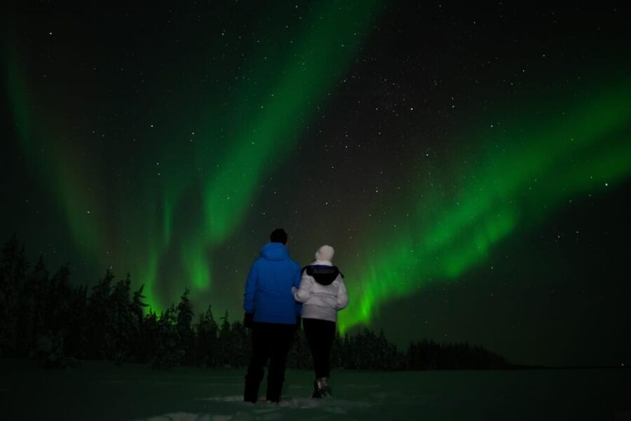 Northern Lights Reindeer Sledge Ride - An In-Depth Look at the Tour Experience