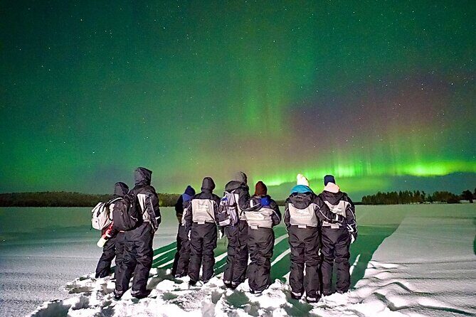 Northern Lights Tour Snowmobile Driving - What to Expect on the Tour