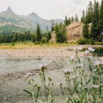 Northern Yellowstone Safari from Cody, WY - The Sum Up