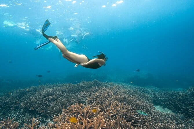 Nusa Penida Day Trip with Snorkeling Package - The Practical Side: What You Need to Know